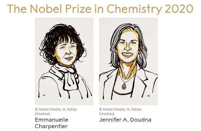 2020 Chemistry Nobel Prize: Emmanuelle Charpentier and Jennifer Doudna
