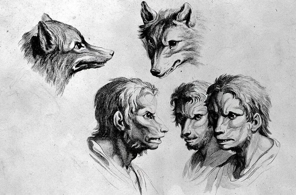 Design Stack: A Blog about Art, Design and Architecture: Animal ...