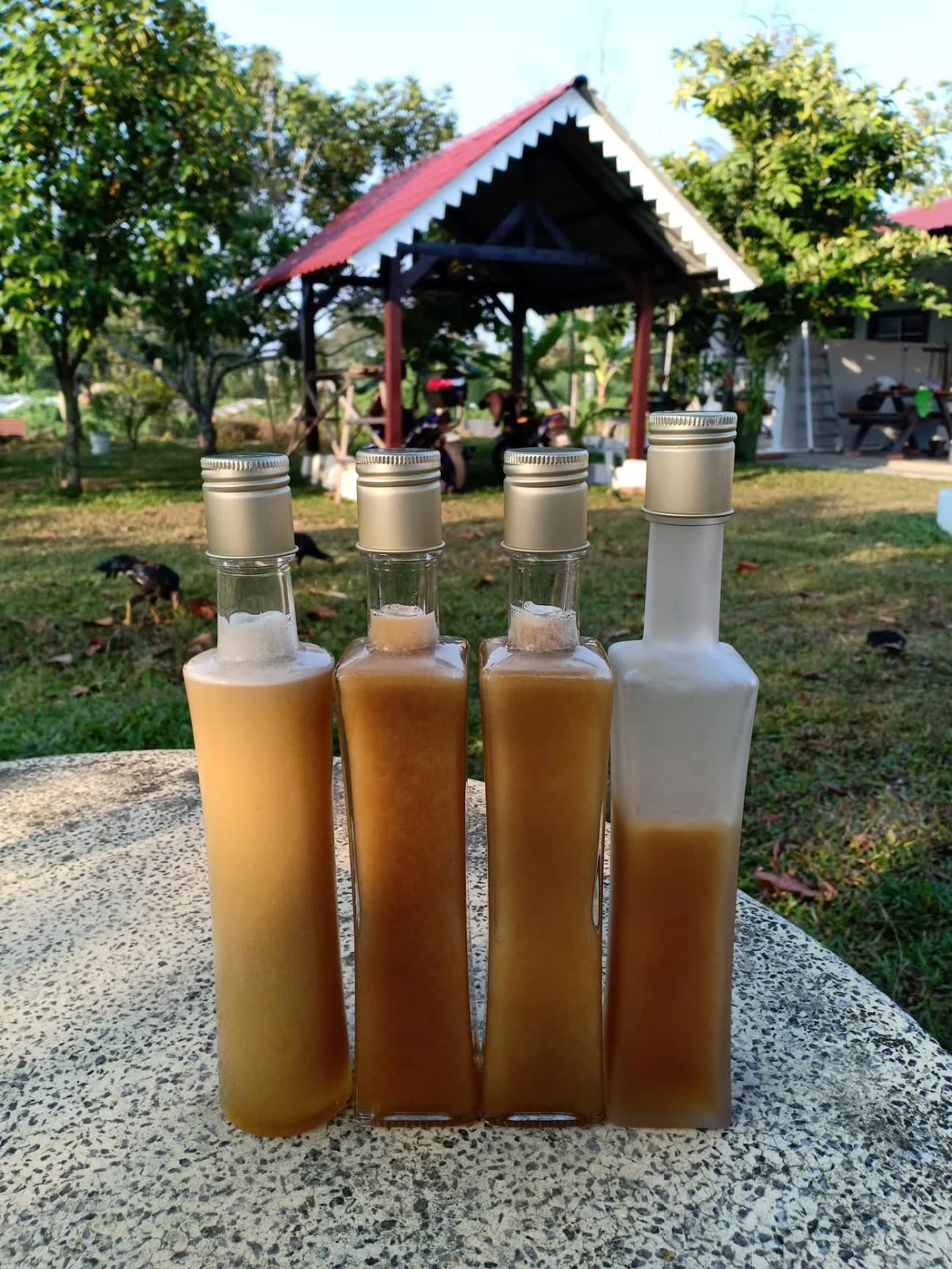 Cara Nak Buat Pondok Mudah - Denise-has-Nichols