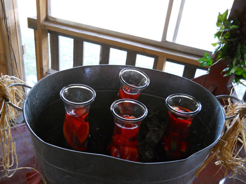 Cochino Lodge Weddings: Kaylie Wheeler and Drew Henley Wed At Cochino Lodge