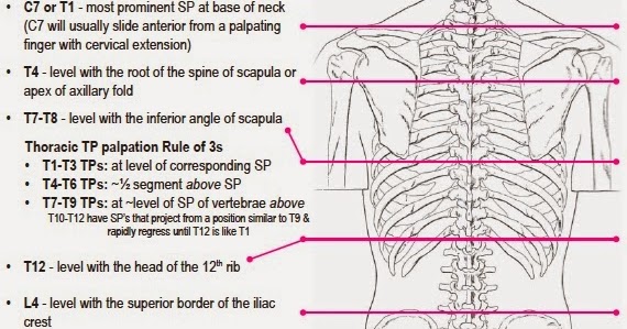 Professional Health Systems: The Rule of Threes?