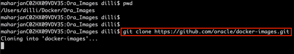 Install Oracle Database 19c In Docker Container ~ Dilli S