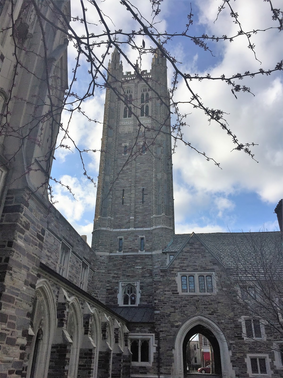 Rockefeller College Princeton