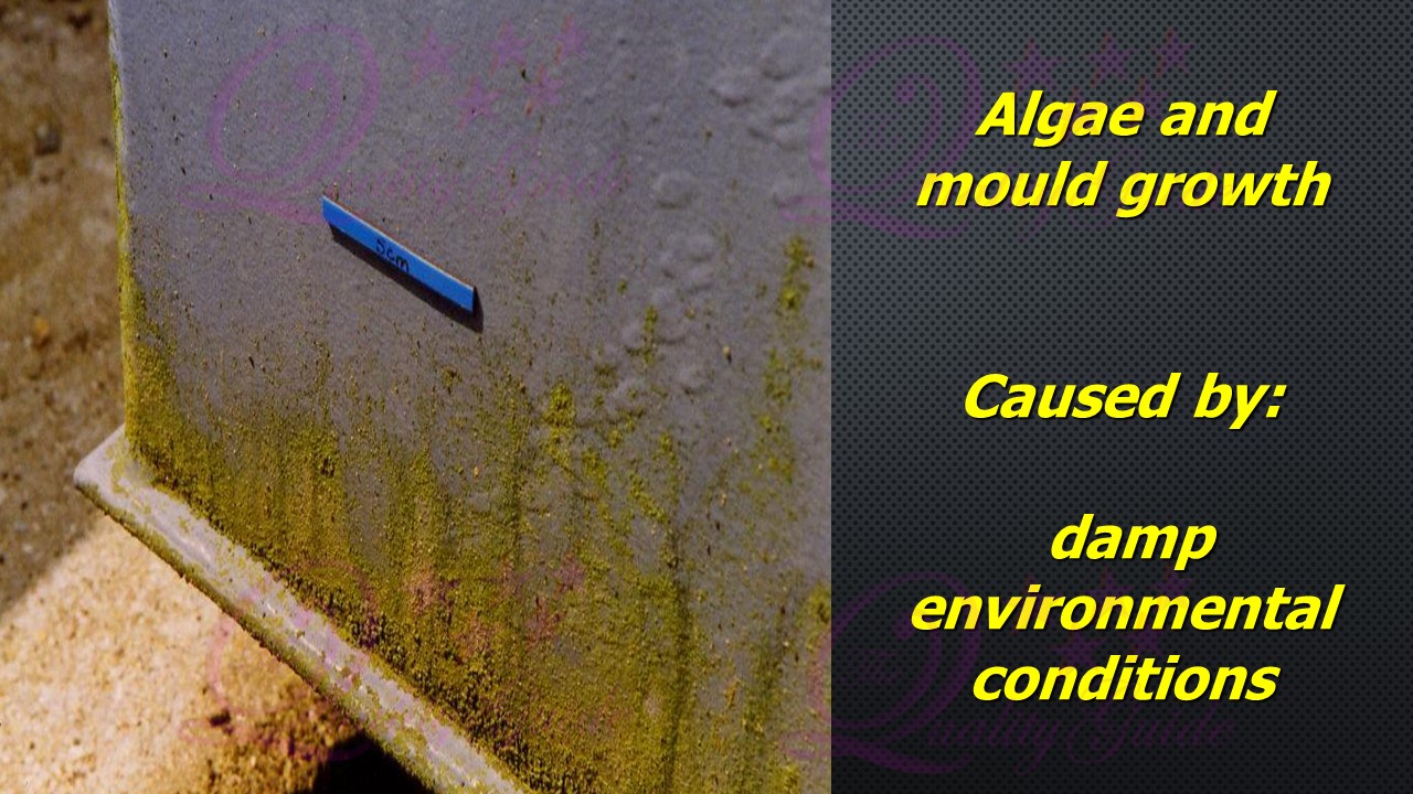 Complete Details of Coating Faults and Paint Defect - The Quality Guide