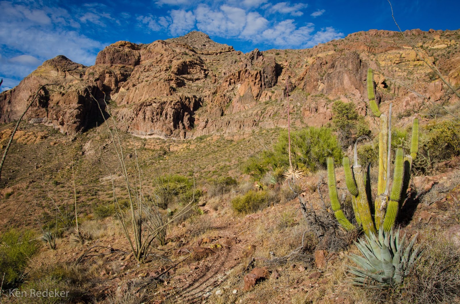 The Adventures of Ken: Mount Ajo - Organ Pipe Cactus National Monument