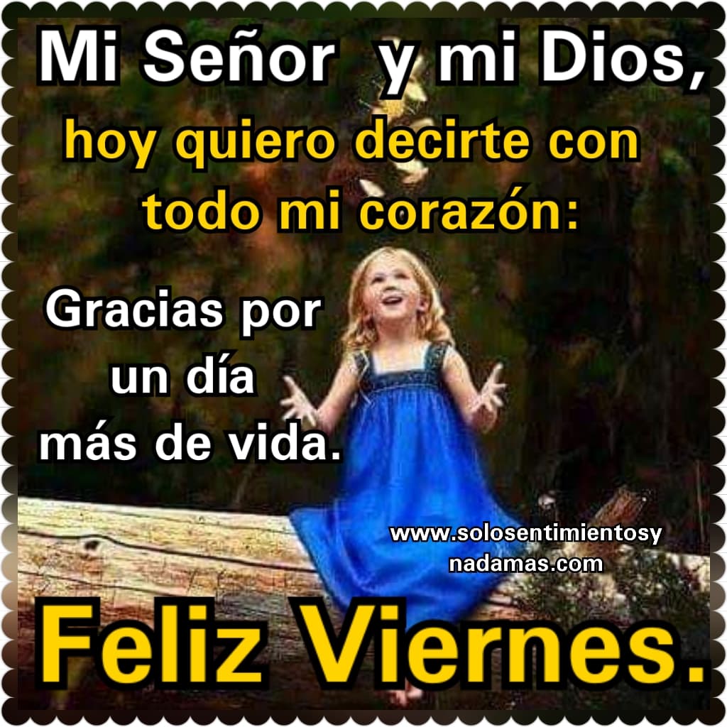 Mi Señor y mi Dios. - Solo sentimientos y nada mas