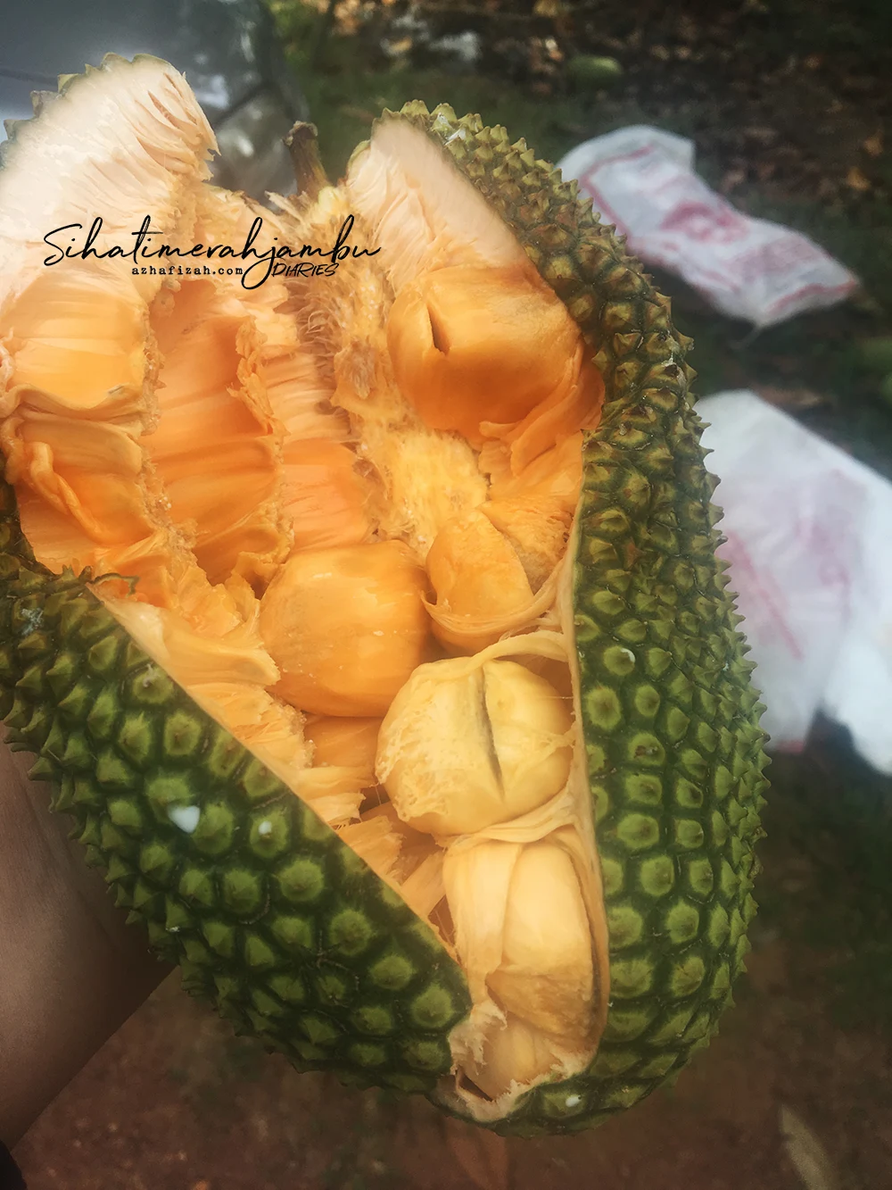 Resepi | Rahsia Cempedak Goreng Rangup Tanpa Tepung Beras | Blog ...