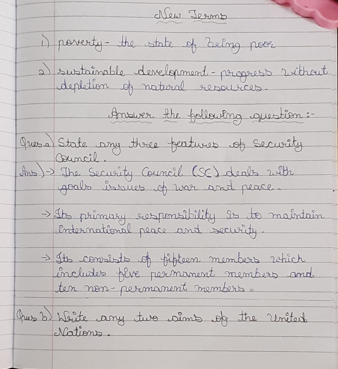 Evs United Nations (Notebook and workbook exercise)