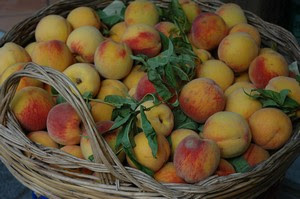 peanuts from Italy: La percoca