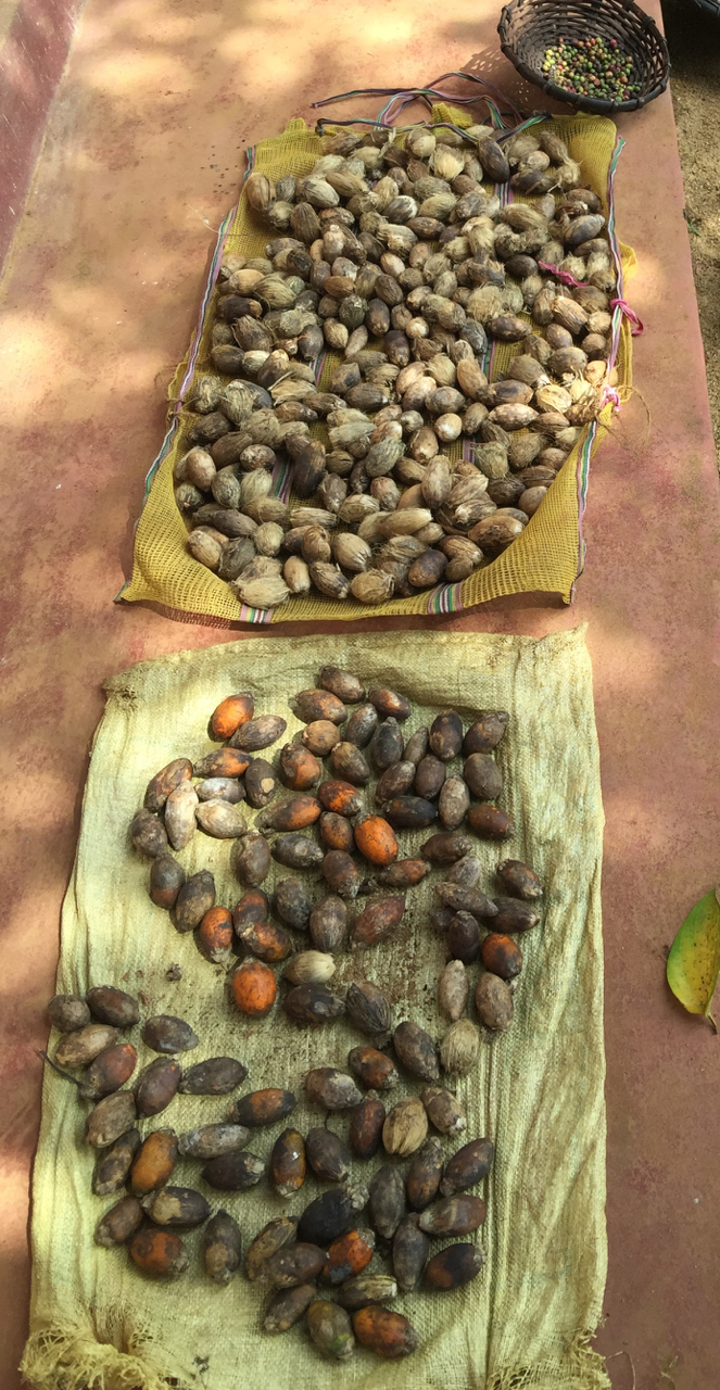 Learning to Live Peace