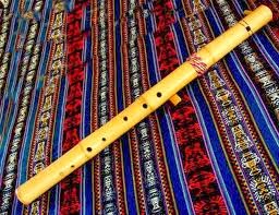 INSTRUMENTOS DE LA REGION ANDINA: CONTENIDO