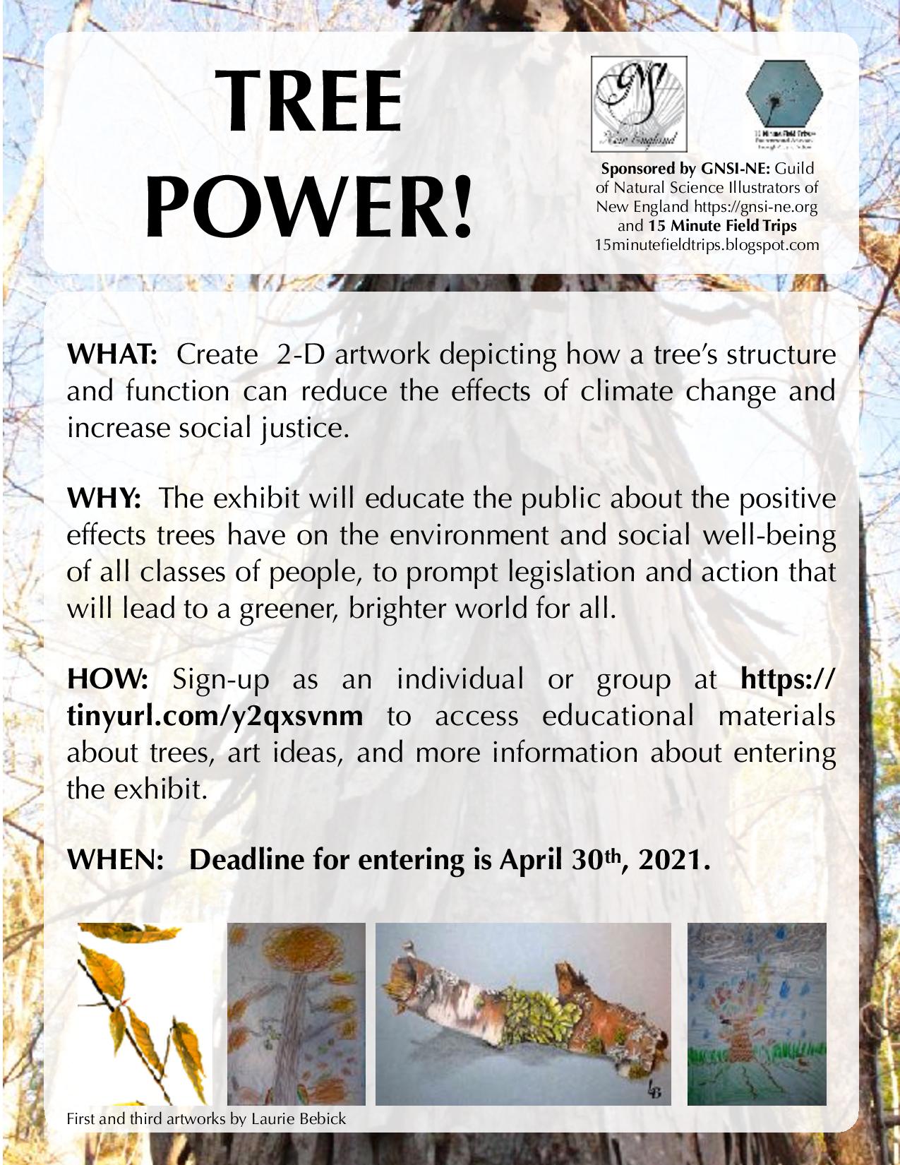 15 Minute Field Trips: Tree Power Art Exhibit