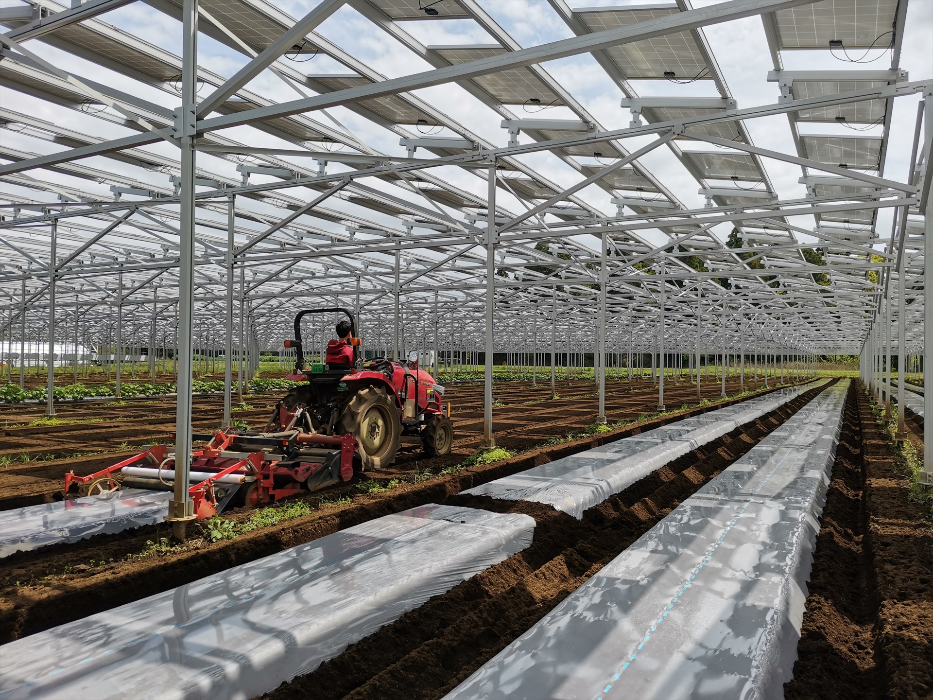 Agrivoltaics Japan: Standard Design for Agrivoltaics in Japan