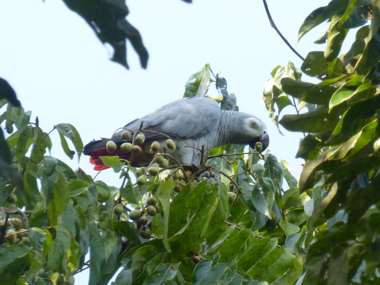 Hopefulist in Other Places: UGANDA - July 2019