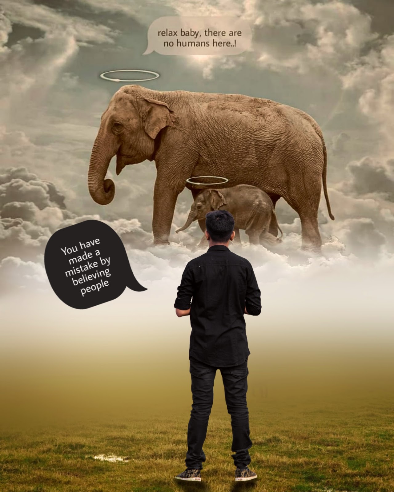 PicsArt Ashamed as human concept / PicsArt save Elephant save Animal ...