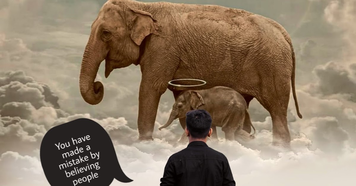 PicsArt Ashamed as human concept / PicsArt save Elephant save Animal ...