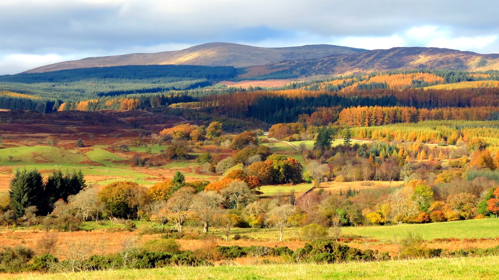 The Glebe Blog: A landscape walk in Galloway