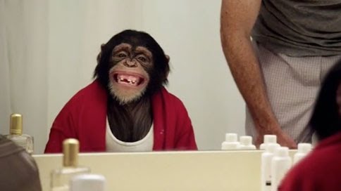 Recruitment Advertising Blog: Career Builder's Monkey Business