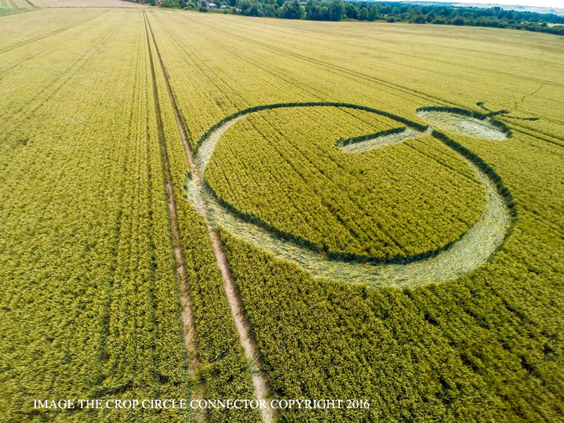 Is this crop circle familiar? ;-P : r/holofractal