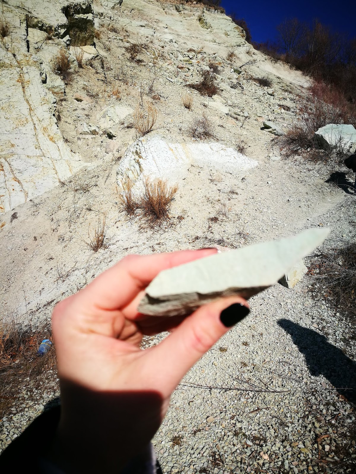 like ?...or not!: Muntele Verde sau Piatra Verde, Slănic Prahova