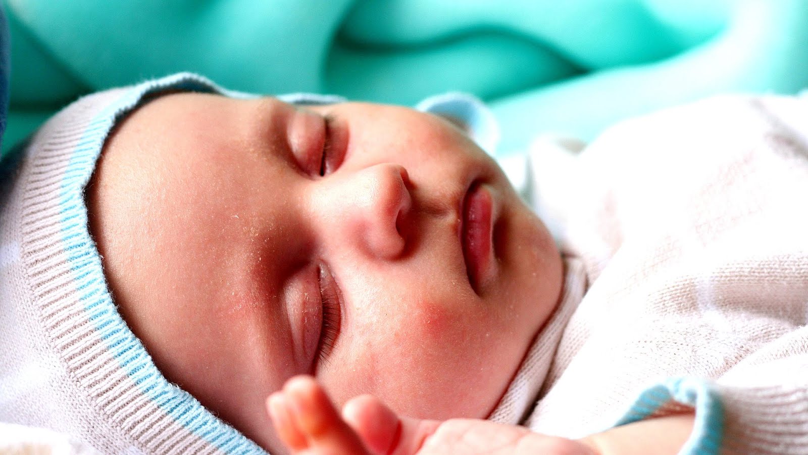 Ob Gyn Nurse Practitioner Education Requirements Education Choices
