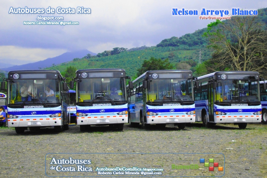 Autobuses de Costa Rica: Autobuses Costa Rica: Higer