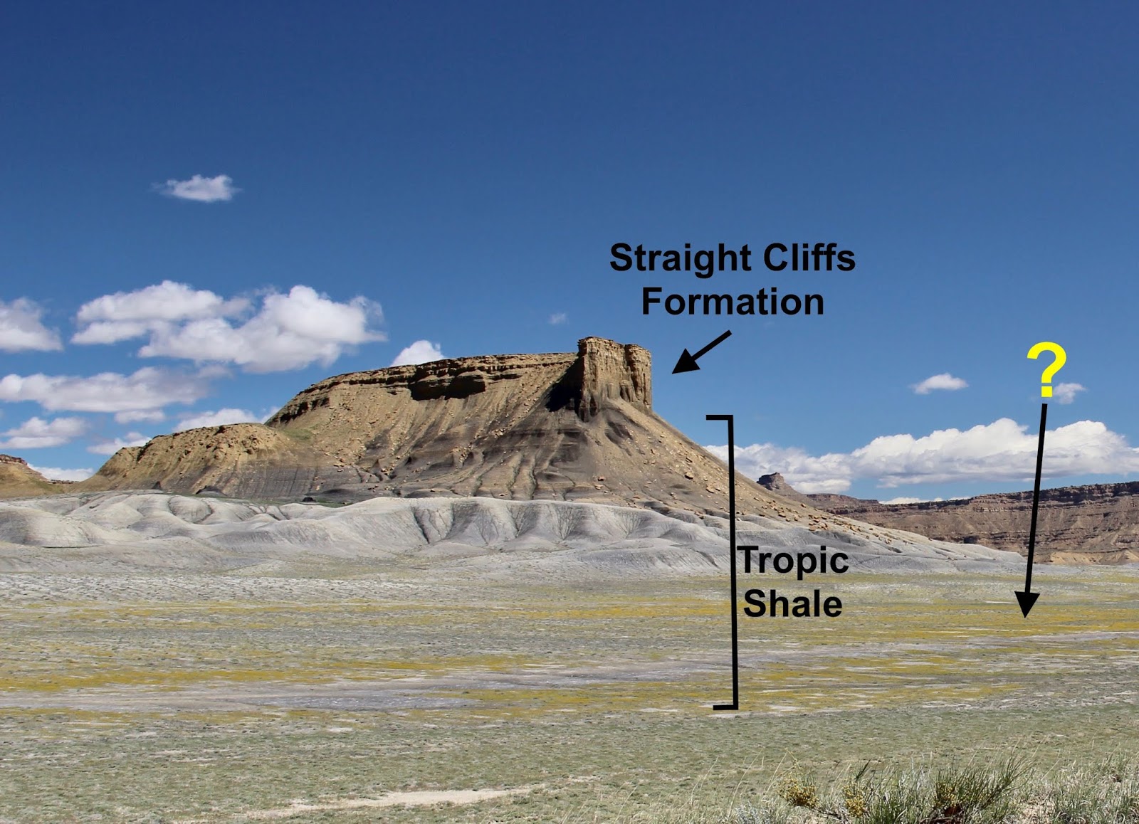 In the Company of Plants and Rocks: Super Bloom on Tropic Shale