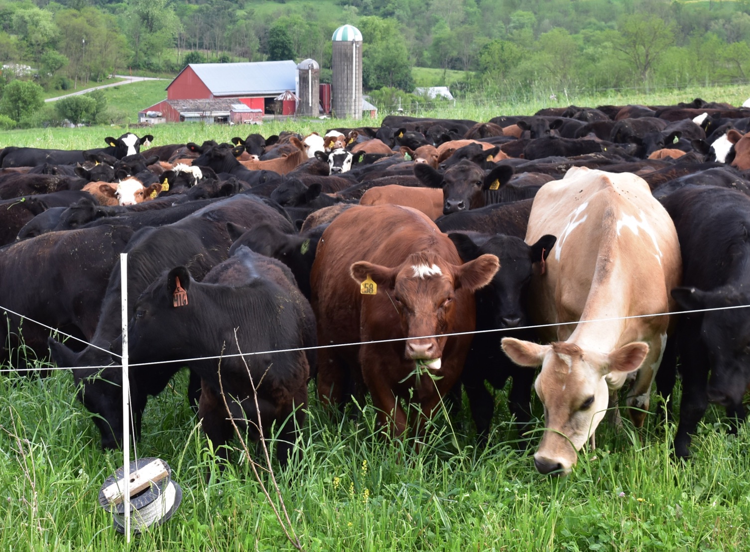 PA Environment Digest Blog: Capital Resource Conservation & Development ...