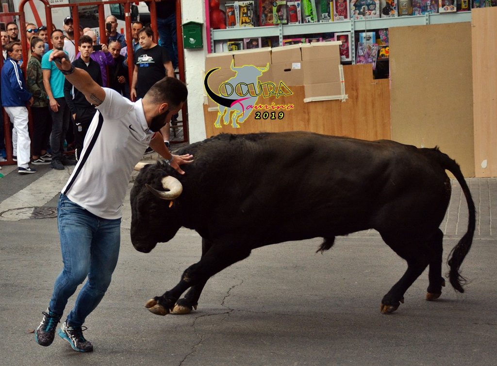 LOCURA TAURINA: ARGANDA DEL REY: TORO REZAGADO POR LA C/ REAL