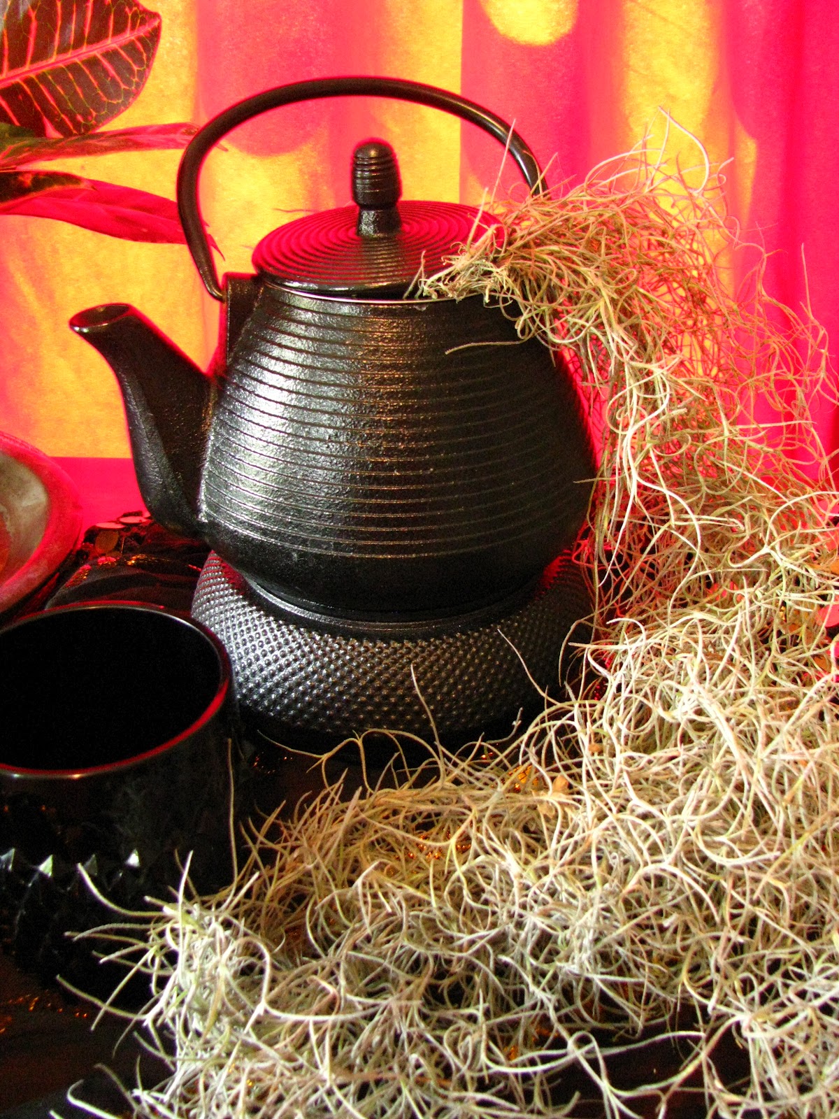 Hallows Outpost: Lichen Tea, And Other Tea Stuff!