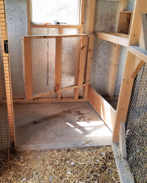 Chicken Coop Tour | Storage Area + Nursery - Fresh Eggs Daily® with ...