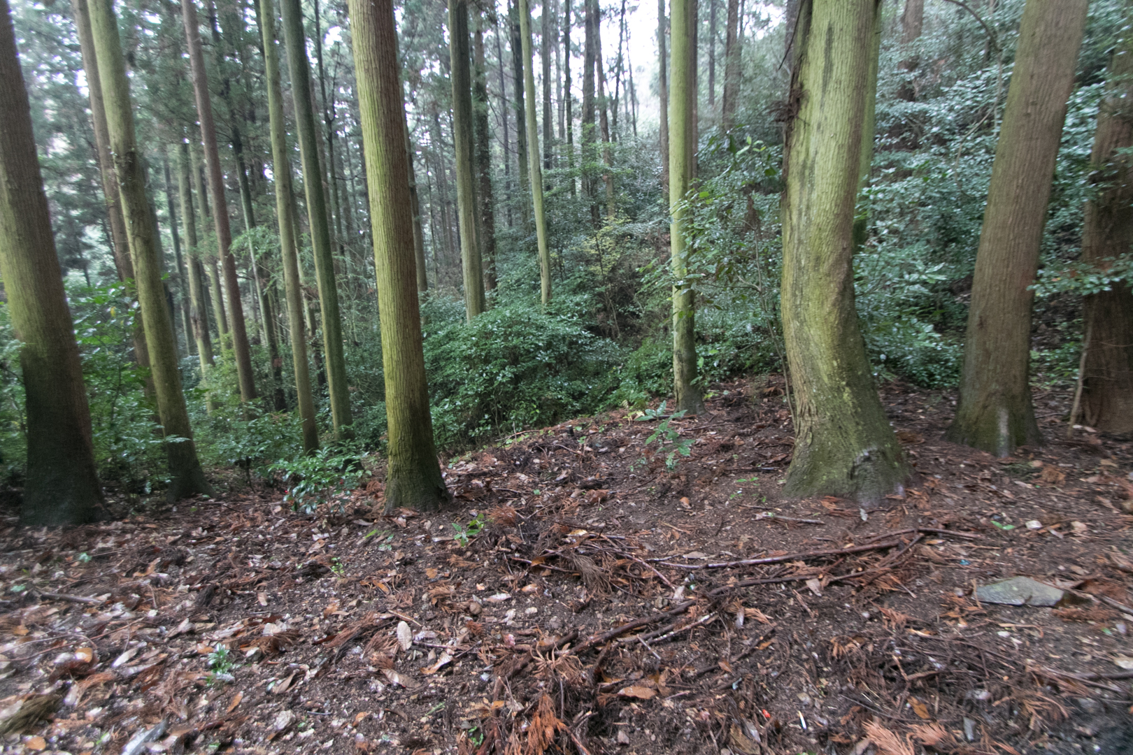 Nanao Castle (Iwami) -Preparation for both of war and peace- | Ken's ...