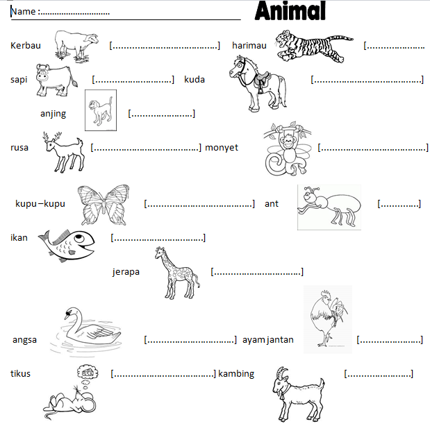 Belajar Bahasa Inggris Animal Lengkap Dengan slide dan soal - Mister Seroja