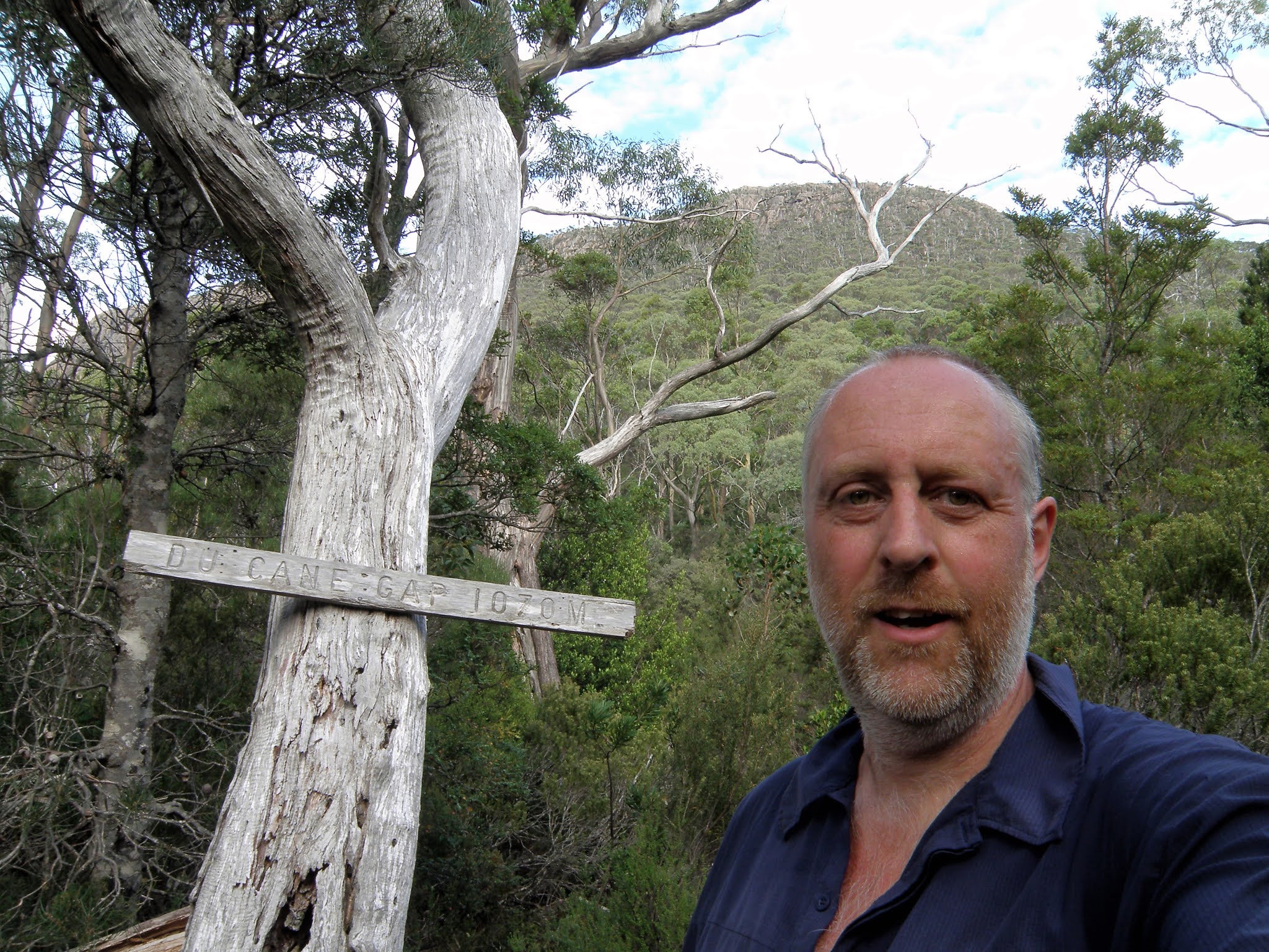 Goin' Feral One Day At A Time: Pelion Hut to Windy Ridge Hut, Overland ...