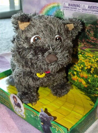 Curiozities By The Book