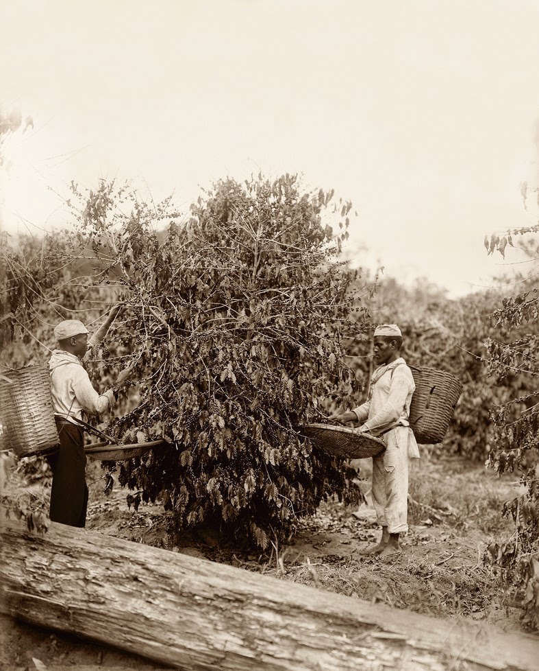 10 raras fotografias de escravos brasileiros feitas 150 anos atrás