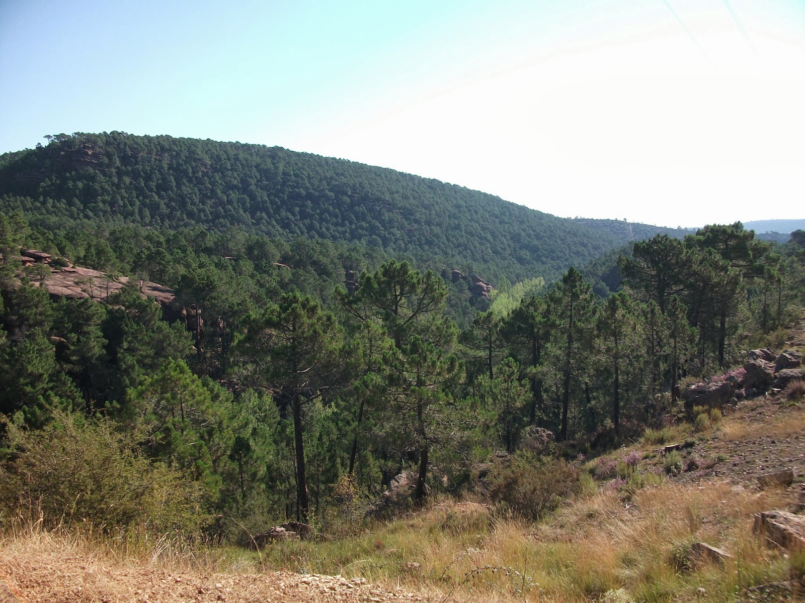 Barroqueando por Aragón: SALDÓN, VALDECUENCA, JABALOYAS, TORIL