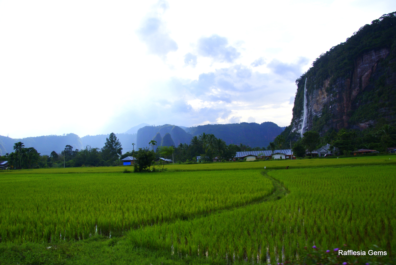 Magical Sumatra and Java: Lembah Harau(Harau Valley)