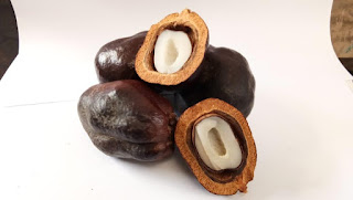 Don't Hesitate Again, Many Benefits of Doum Fruit for Health - Breaking ...