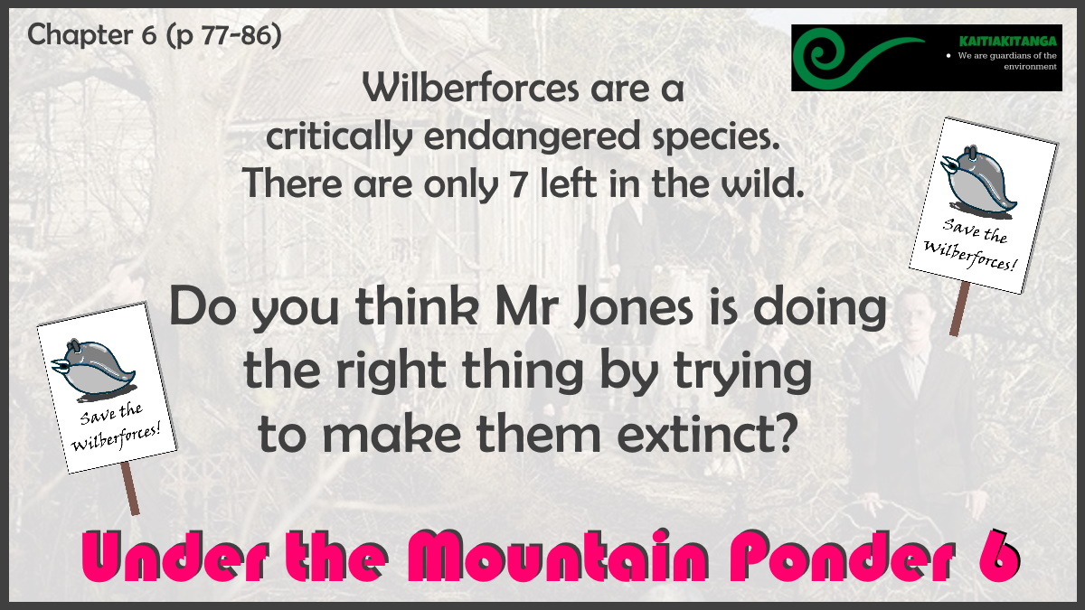 Room 6 Class Blog - Teacher: Rachael O'Shea: Novel Ponder 6 plus an ...