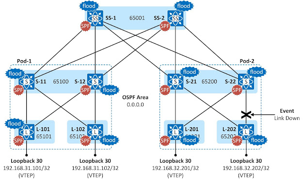The Network Times: BGP EVPN Underlay Network with OSPF