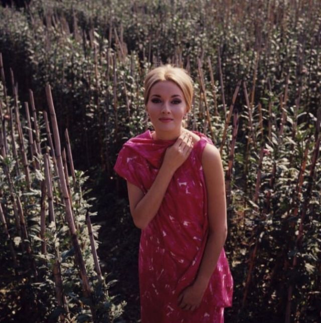 Italian Classic Beauty: 22 Glamorous Photos of Daniela Bianchi in the ...