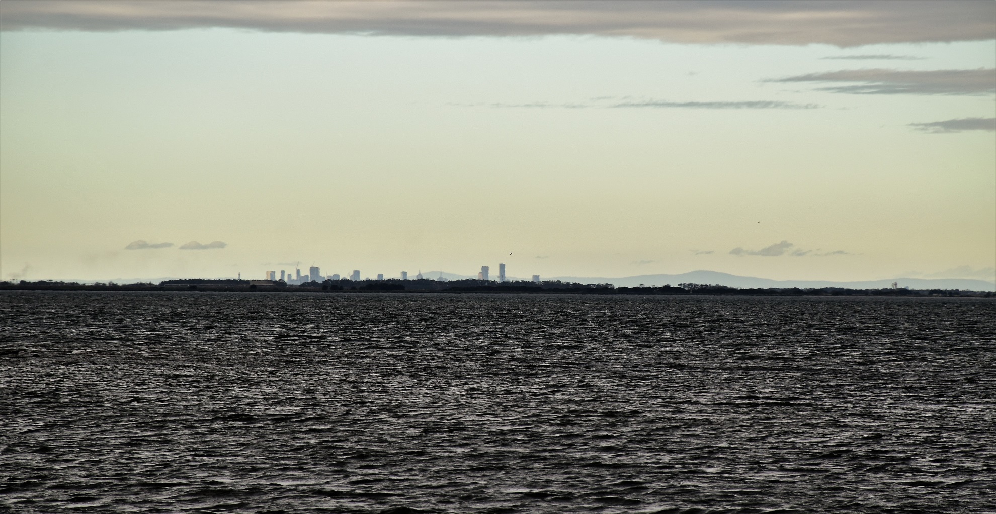 Goin' Feral One Day At A Time: Kirk Point Walk - July 2021