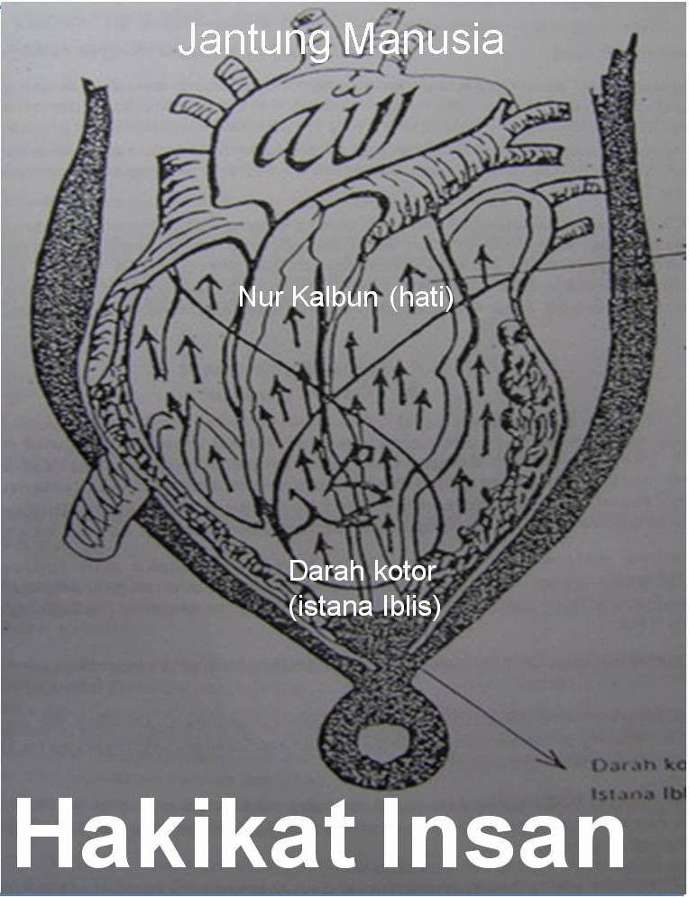 HAKIKAT INSAN | BACA, SUKA, FAHAM DAN AMAL