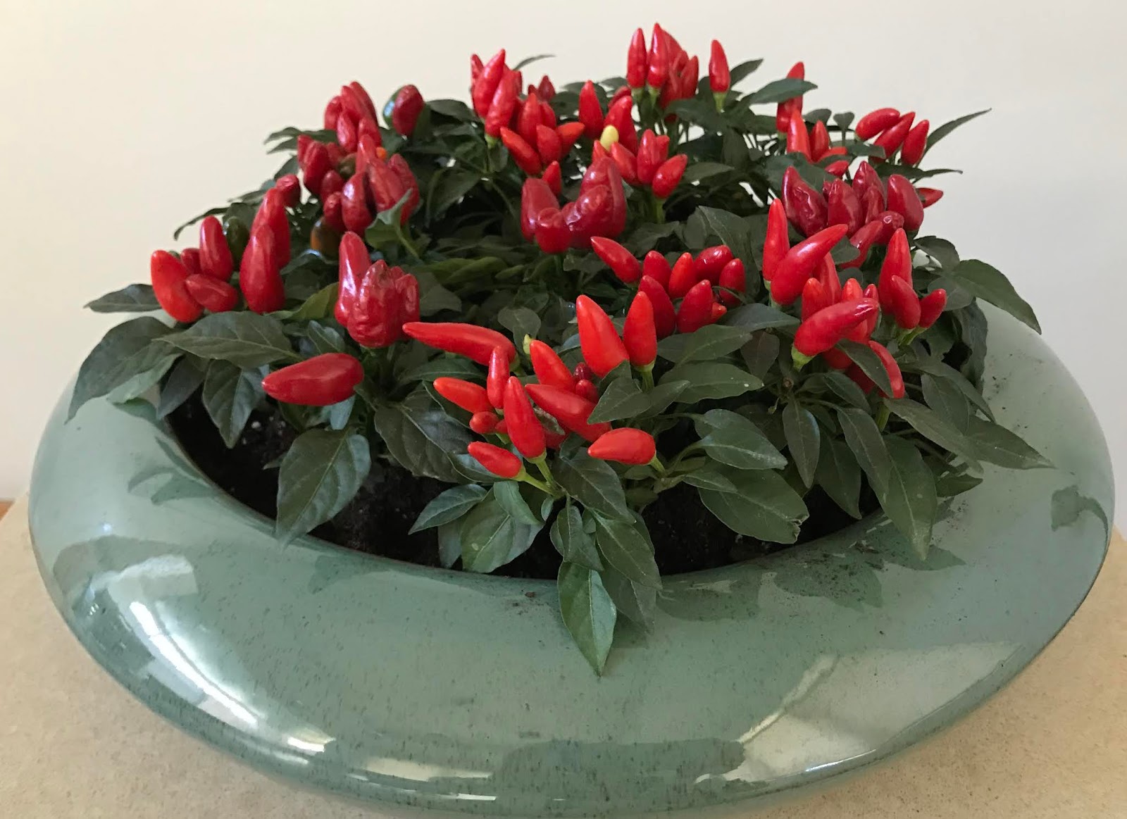 Garden with Betty Cahill: December Decorating Part II