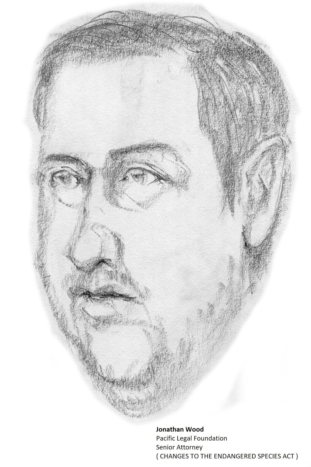 daily drawings: Jonathan Wood