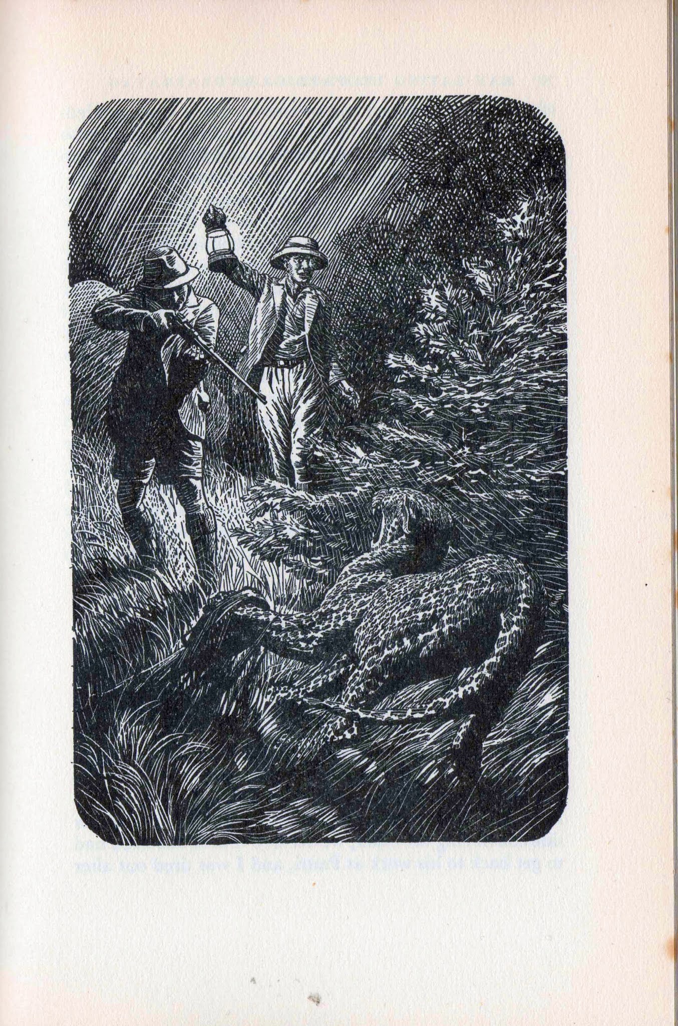 Raymond Sheppard and The Man-Eating leopard of Rudraprayag by Jim ...