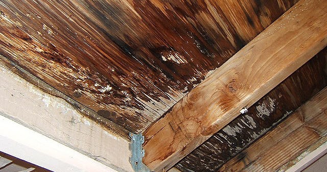 HOW TO FIX WET / DRY ROT IN TIMBER - Creative DIY