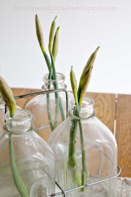 Simple Spring Flowers | Averie Lane: Simple Spring Flowers