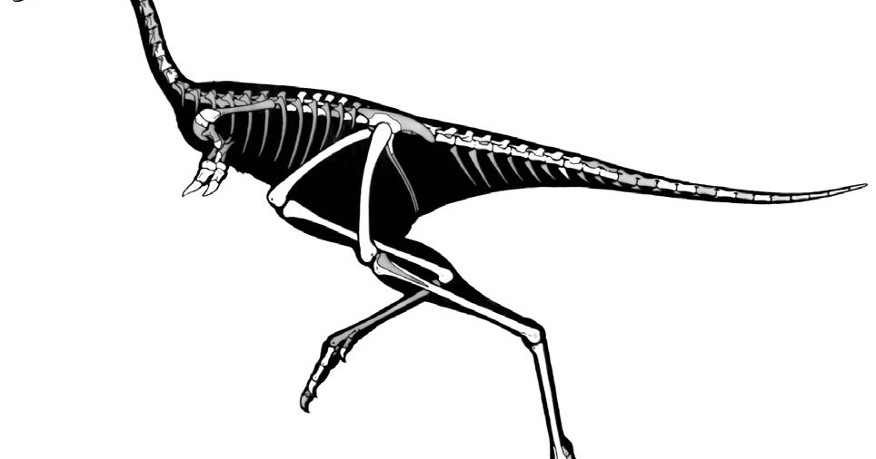 Palaeos, la historia de la Vida en la Tierra: El último alvarezaurio